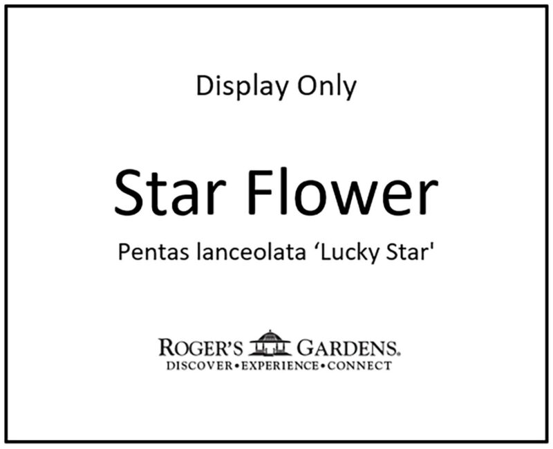 Display Only Sign Form – Roger's Gardens